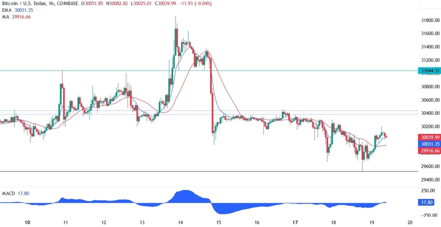 Bitcoin Technical Analysis | Forexlive