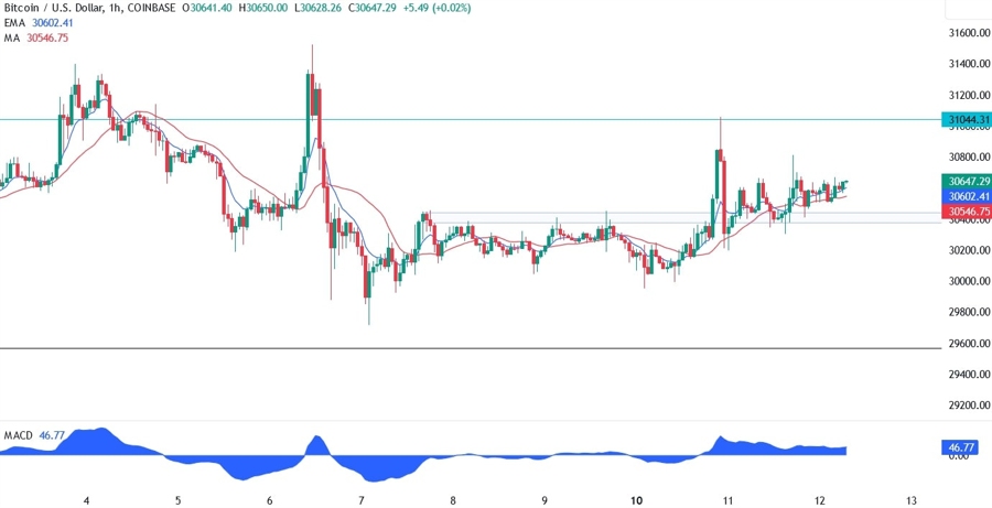 Bitcoin Technical Analysis | Forexlive