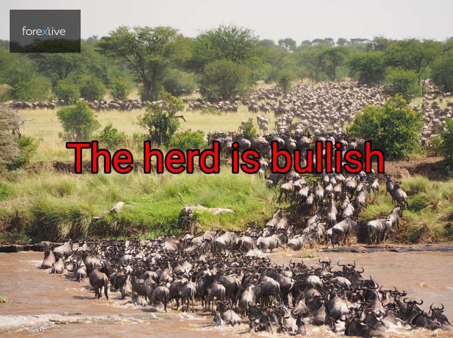 Bulls dominate but chart hints correction might be very near. See why ...